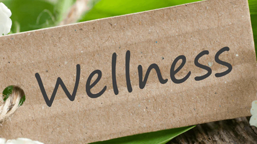 Dolphin Energy Overview and Company Profile | Naukrigulf